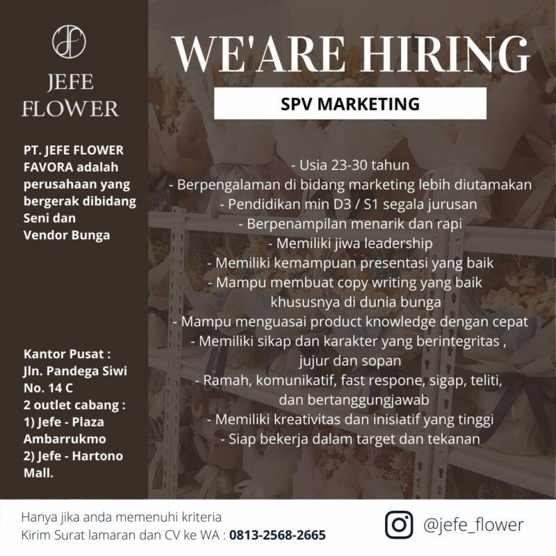 Lowongan Kerja SPV Marketing - Content Creator di Jefe Flower ...