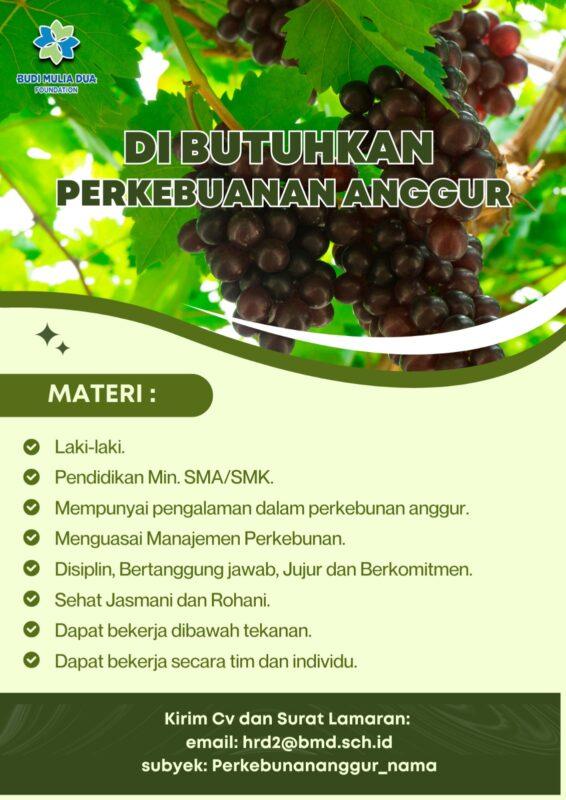 Lowongan Kerja Karyawan Perkebunan Anggur di Budi Mulia Dua Foundation ...