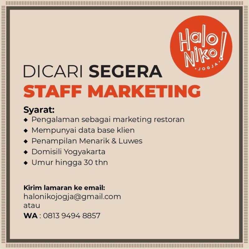 Lowongan Kerja Staff Marketing di HaloNiko Jogja - LokerJogja.ID